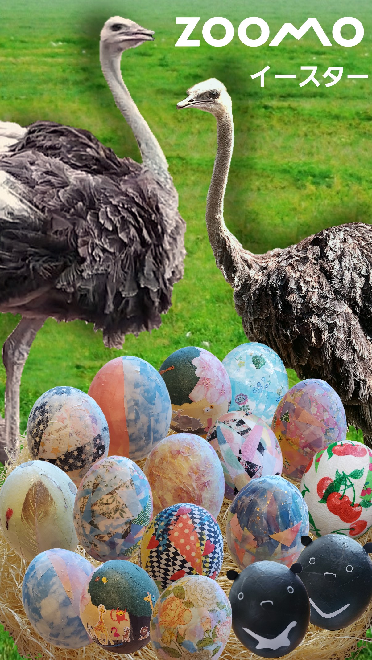 イベント案内 - 盛岡観光におすすめ！ 盛岡市動物公園 ZOOMO【公式】｜お土産も充実