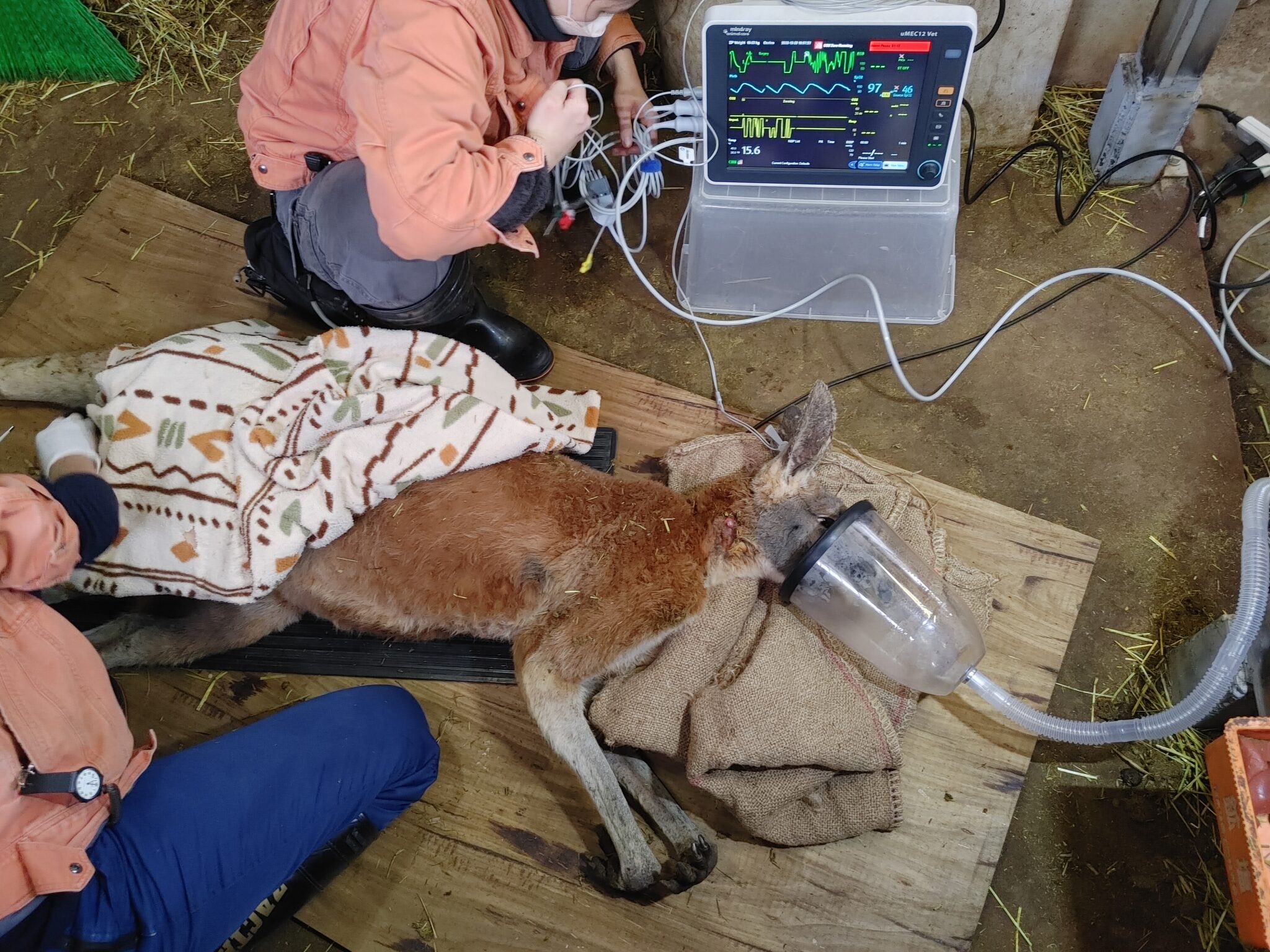 ZOOMO写真展 ―貴重な写真で目指す動物病院の思いを市民へー - 盛岡観光におすすめ！ 盛岡市動物公園 ZOOMO【公式】｜お土産も充実