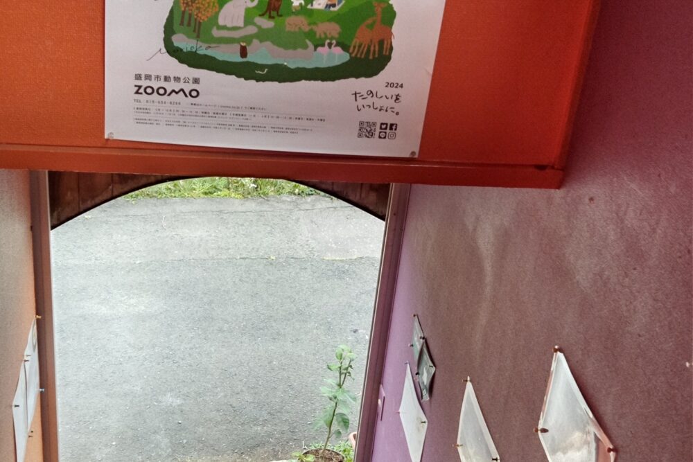 盛岡市動物公園ZOOMOが 県内をジャック！！！ - 盛岡観光におすすめ！ 盛岡市動物公園 ZOOMO【公式】｜お土産も充実