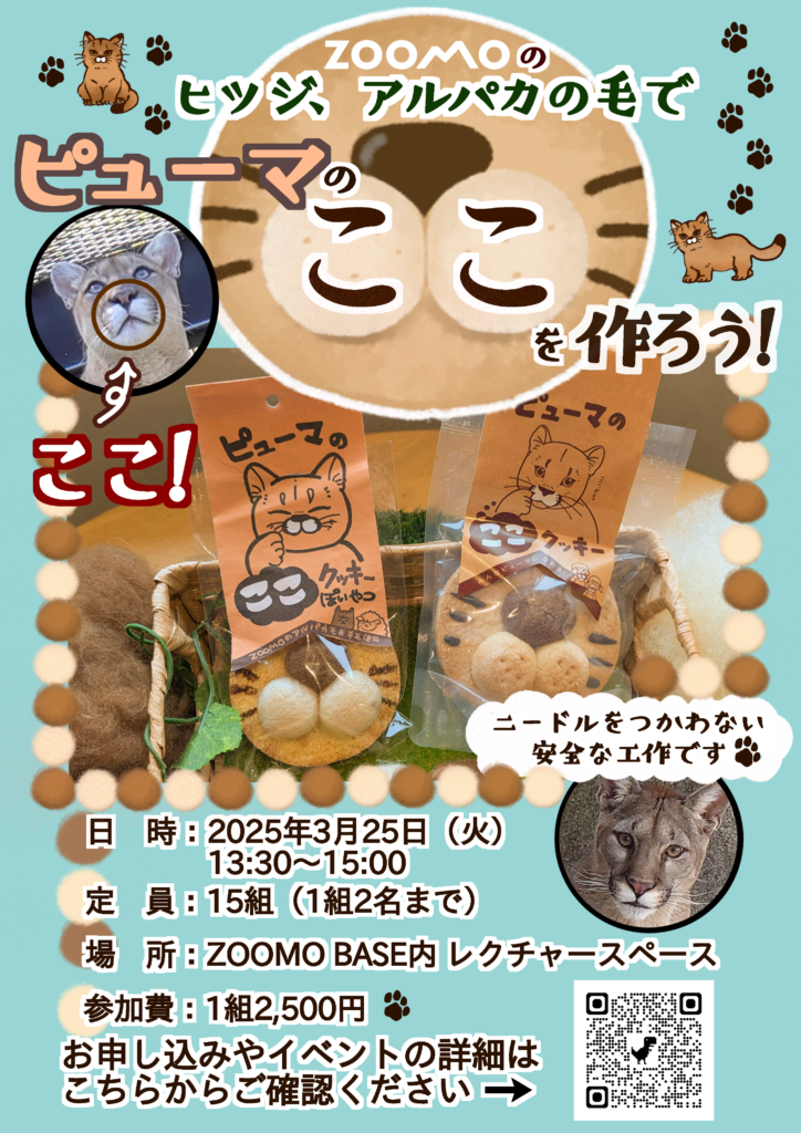 「ZOOMOのヒツジとアルパカの毛でピューマの“ここ”を作ろう」を開催します - 盛岡観光におすすめ！ 盛岡市動物公園 ZOOMO【公式】｜お ...